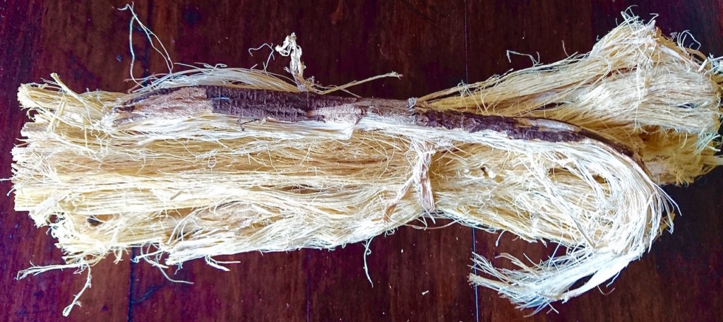 The Elephant Café wins Best New Restaurant Award + Recipe: Munkoyo ...