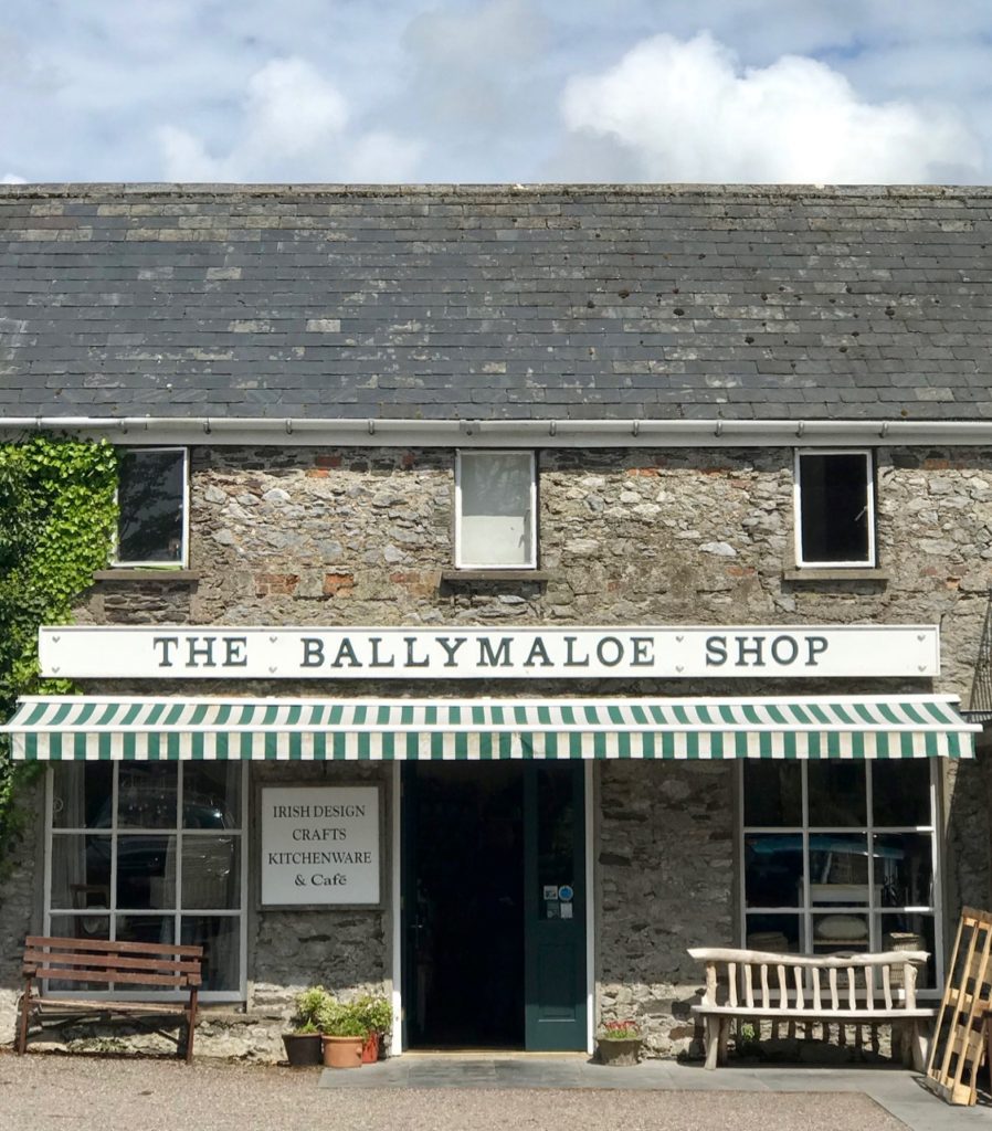 Bush Gourmet meets Ballymaloe – SavannaBel